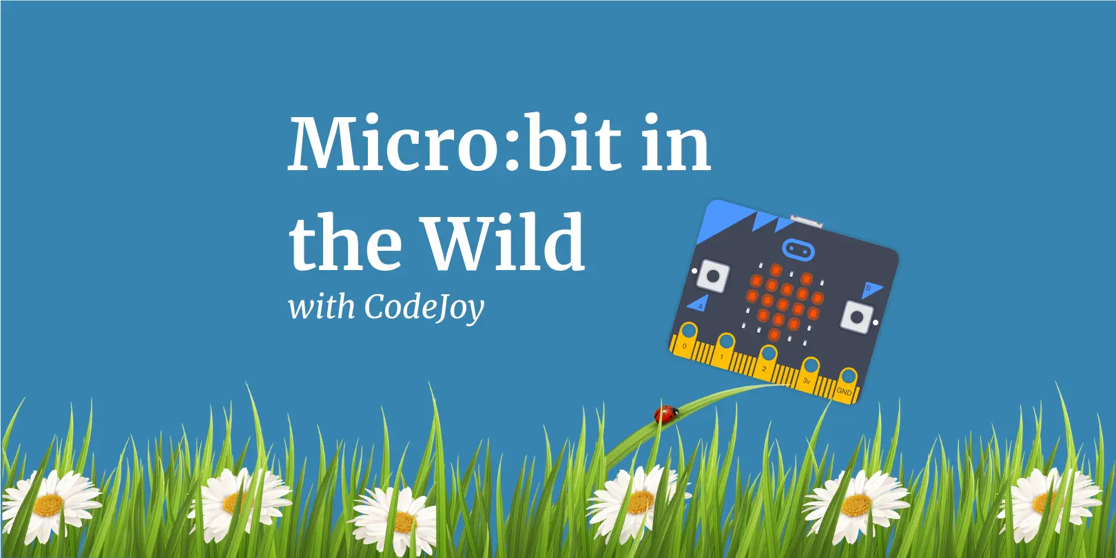 Environmental Literacy with the BBC micro:bit | CodeJoy